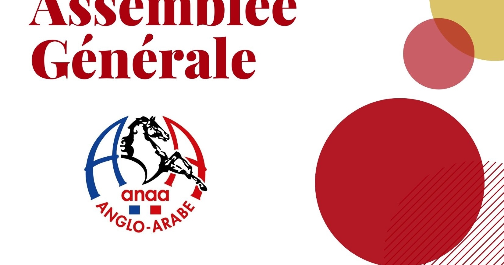 Ag De Lanaa La Race Mérite Dêtre Considérée Actualités